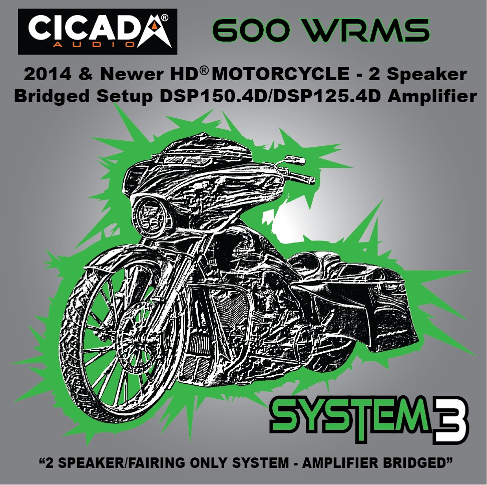 Cicada Setup | Road Glide